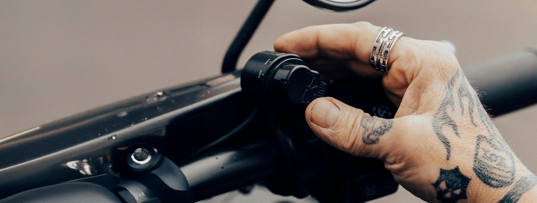 RBW Skull – Rotary Switches and Bold Accessories by RBW Skull – RBW ...