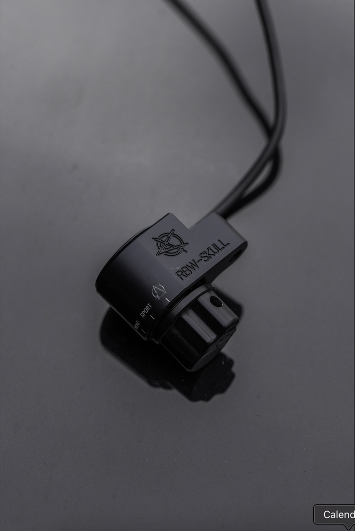 RBW Skull black aluminum - rotary switch and electronic control unit ...